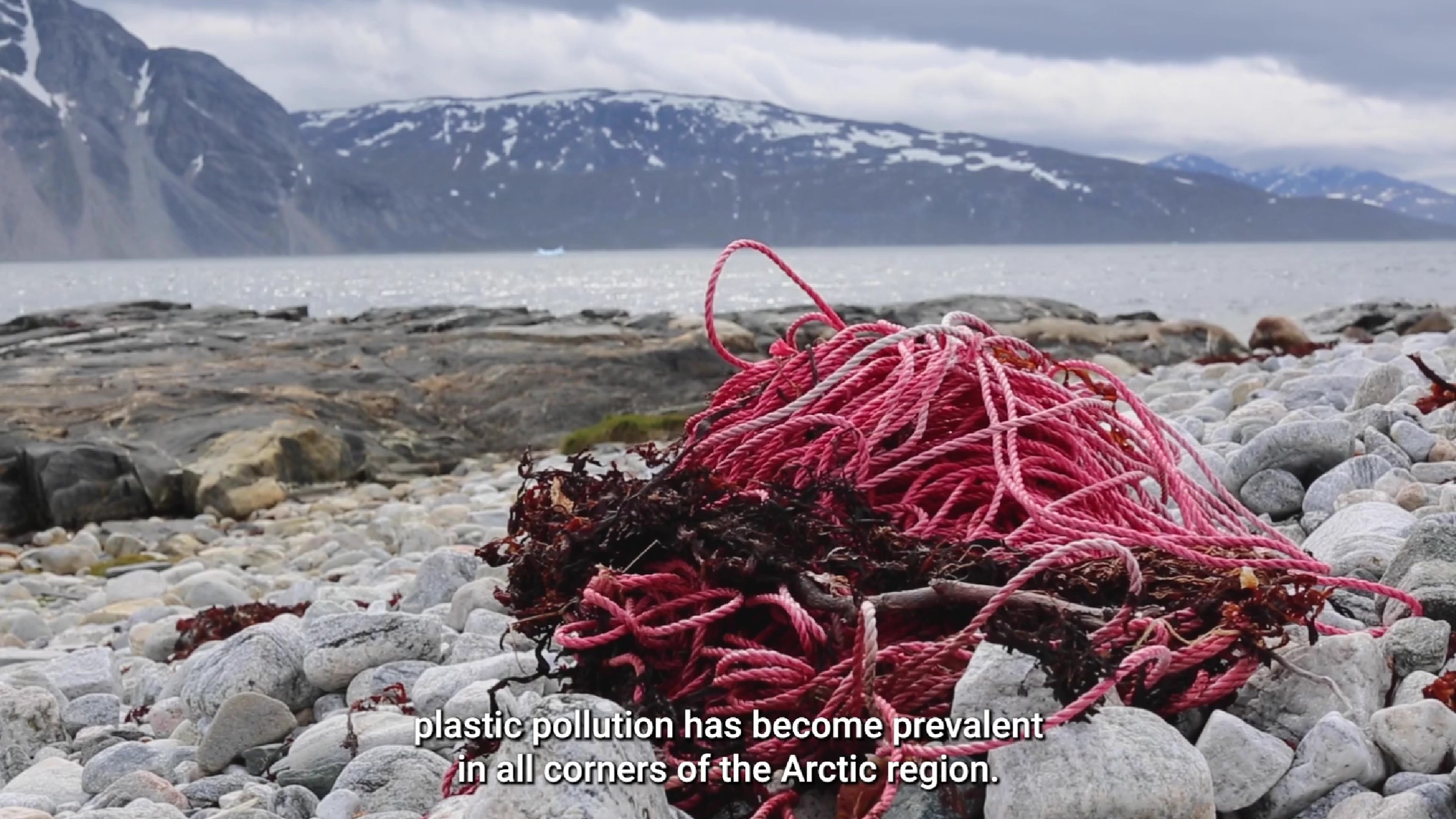 UArctic - University of the Arctic - Video on the plastic pollution in ...