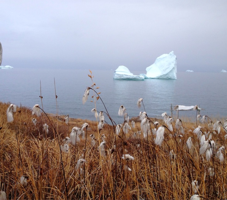 UArctic - University of the Arctic - Project activity: Widening the ...